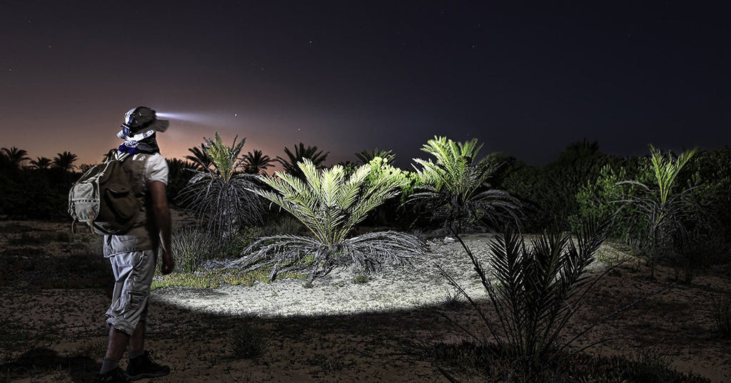 Essential Features To Consider In The Best Backpacking Headlamp - Fenix ...